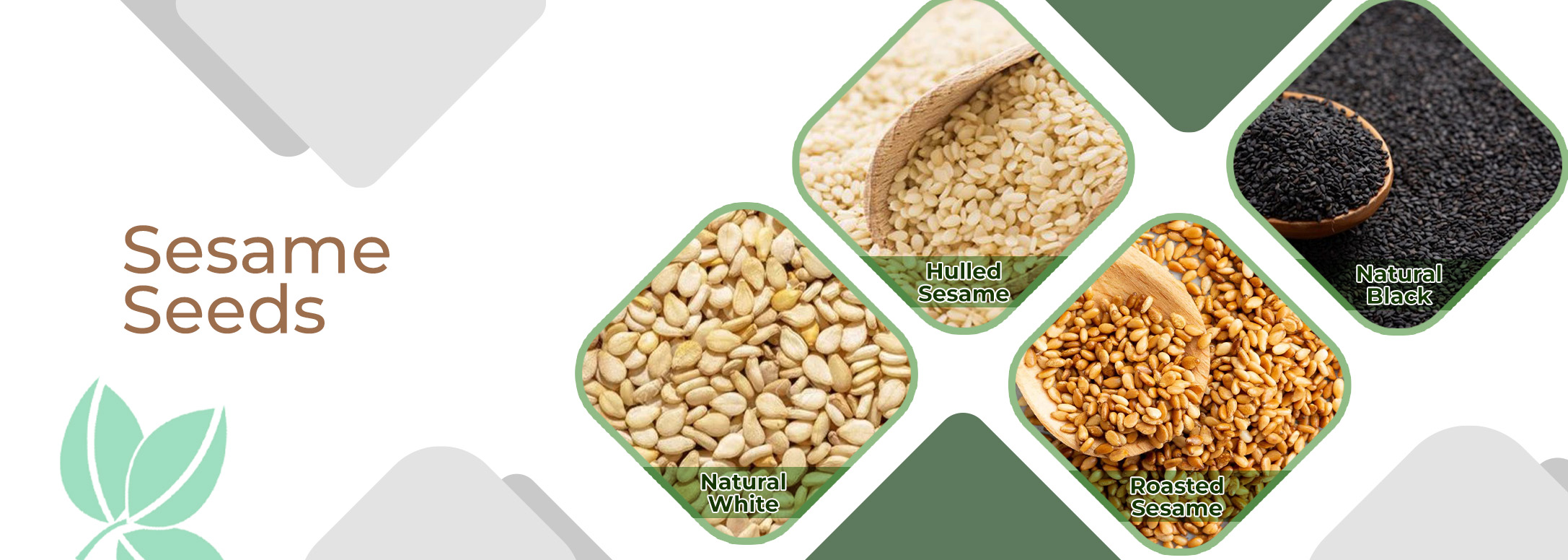 Sesame Seeds - Orchid Exim